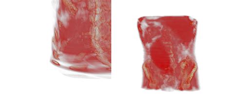 Javascript Rendering Only Partial Image Using Node Webgl But