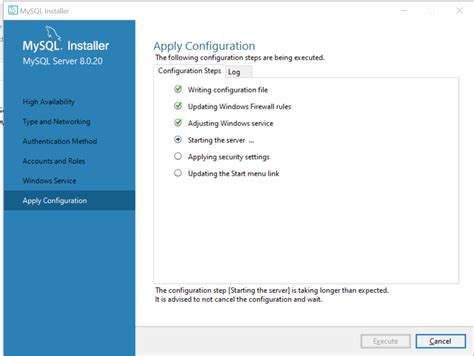 Error Installing Mysql 8020 Windows 10 When Entering Current Root