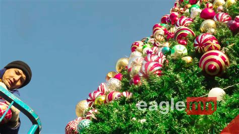 Төв талбайн сүлд модыг чимэглэх ажил энэ сарын 15 нд дуусна