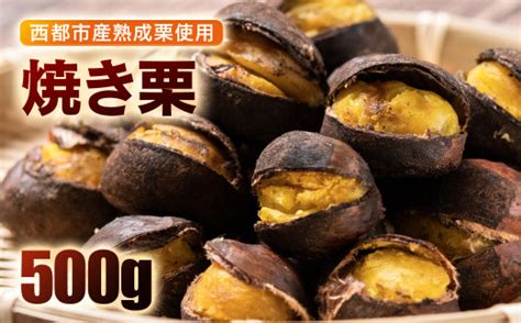 秋の味覚！ 熟成焼き栗 2パック 合計500g【先行予約】＜1 288＞くり 栗 国産 生栗 果物 フルーツ スイーツ 宮崎県西都市