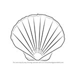 How To Draw A Seashell Everyday Objects Step By Step DrawingTutorials101 Com