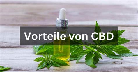Vorteile Von Cbd Natürliche Wellness Lösungen