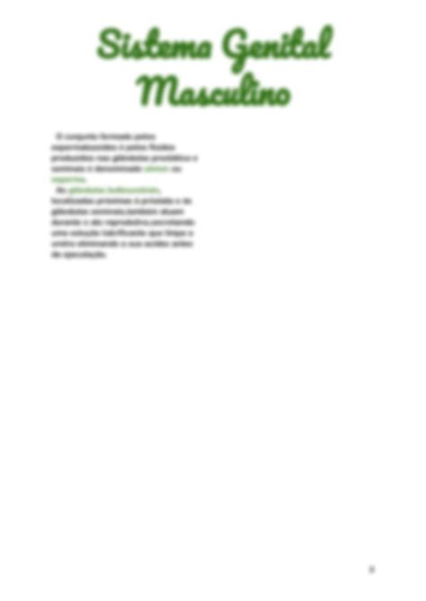 SOLUTION Resumo Sistema Genital Masculino Sistema Reprodutor Masculino Biologia Studypool