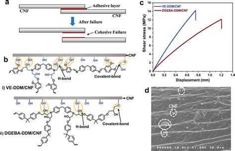 A Representative Image Of Slj Specimen B Cross‐linking Of Epoxy