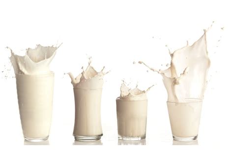 Dairy Processing On Linkedin Lactose Free Dairy Products Help Retain