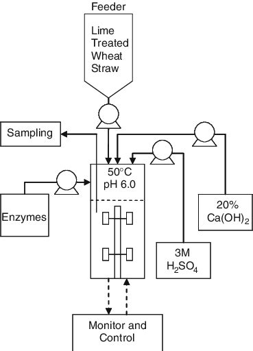 Schematic Representation Of The Simultaneous Saccharification And Download Scientific Diagram