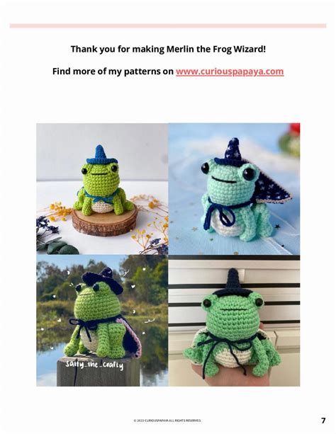 Frog Wizard Crochet Pattern