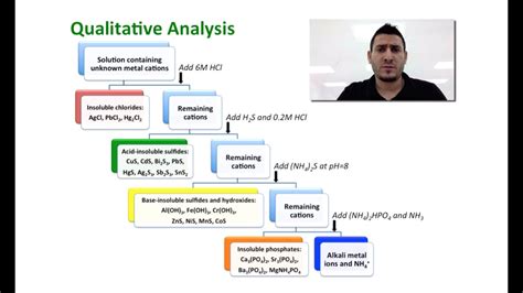 Solubility Equilibria Qualitative Analysis And Complex Ion Equilibria