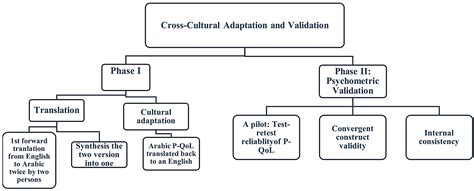 Cross Cultural Adaptation And Validation Of The Arabic Version Of The Prolapse Quality Of Life