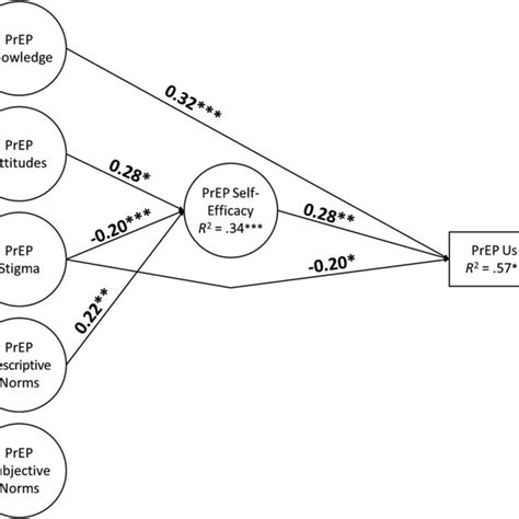 The Information Motivation Behavioral Skills Imb Model For Prep Use