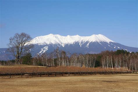 春の息吹 開田高原～高ボッチツーリング 3月20日 2016年の旅
