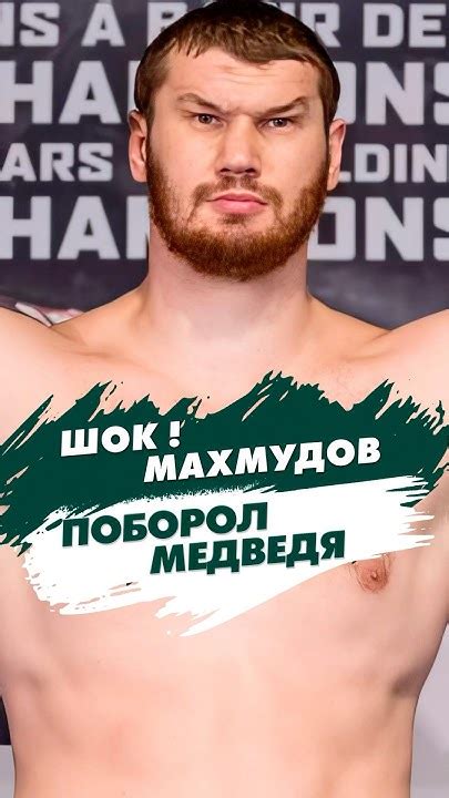 МАХМУДОВ победил медведя 🥇 Shorts Youtube