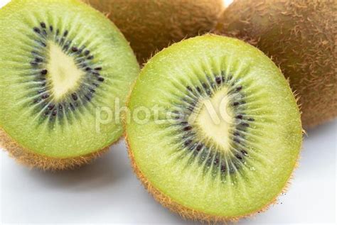 무료 사진 제목