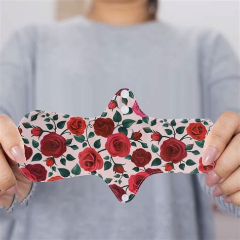 Reusable Menstrual Pad Winged Sanitary Napkin Set And Washable Sanitary