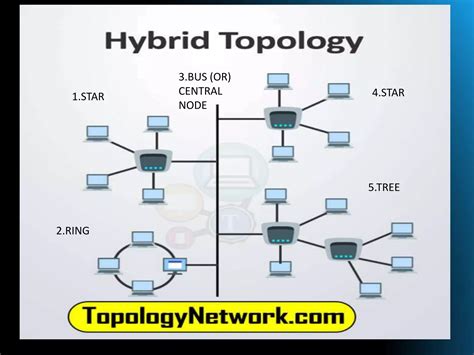 Networktopology Xii Ppt