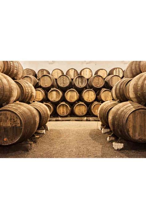 La crianza del vino guía completa Comer y Beber