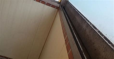 일단 청소는 만족스럽게 진행이 되었습니다~ 구축이라 집 상태가 안 좋아서 추가요금이 예상보다 너무 많이 추가되어 속상했지만 당일이라 진행을 안할 수없었기에 진행 하게