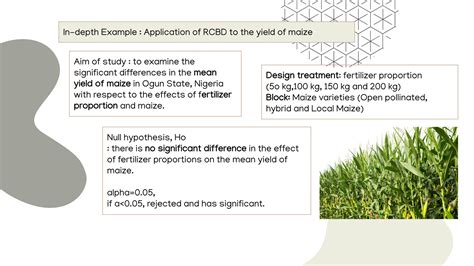 Randomised Complete Block Design Rcbdpdf
