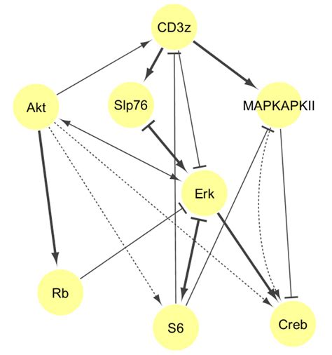 Reconstructed Eight Protein Subnetwork When Prior Knowledge Is Added