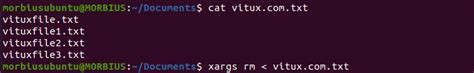 How To Delete Files On Linux Vitux