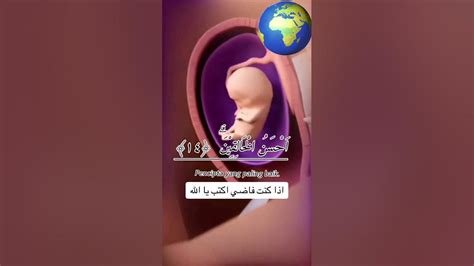 ثم جعلناه نطفة في قرار مكين ثم خلقنا النطفة علقة Youtube