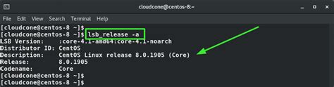 How To Fix Lsb Release Command Not Found In CentOS 8 Tutorials And
