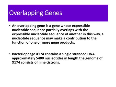 Second Genetic Code Overlapping And Split Genes Pptx