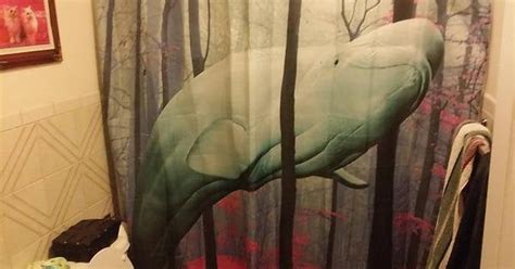 My Shower Curtain Wanted To Say Hello Rpics