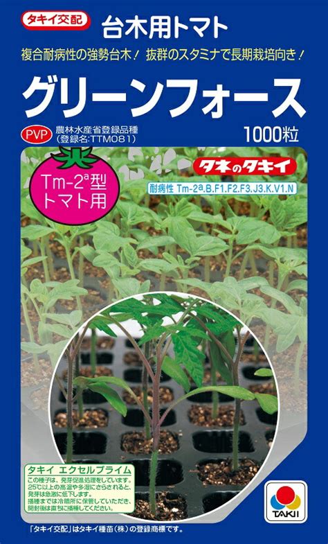 【楽天市場】グリーンフォース トマト用台木 種子 1000粒 農水省登録品種品種名 Ttm 081 【タキイのタネ】【台木用種子】：吉谷