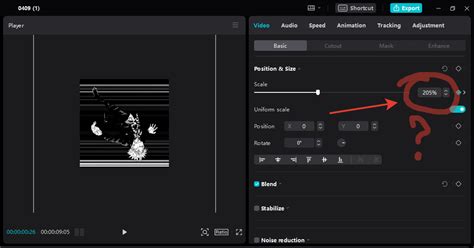 Animated Scale Issue Rcapcut
