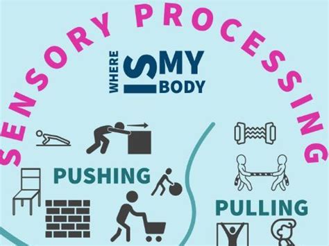 Sensory Processing Poster Teaching Resources