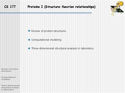 Cs 177 Proteins I Structurefunction Relationships Review Of