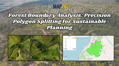 Forest Boundary Analysis Precision Polygon Splitting For Sustainable Planning Mapog