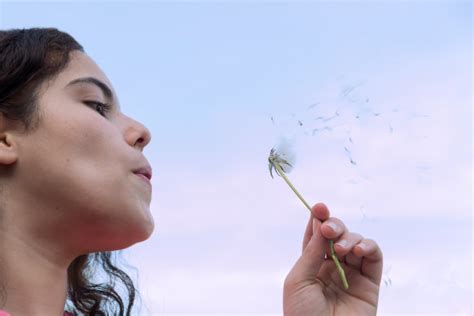 拿着一朵花的女人图片素材 拿着一朵花的女人设计素材 拿着一朵花的女人摄影作品 拿着一朵花的女人源文件下载 拿着一朵花的女人图片素材下载 拿着