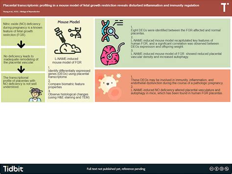 Placental Transcriptomic Profiling In A Mouse Model Of Fetal Growth Restriction Reveals