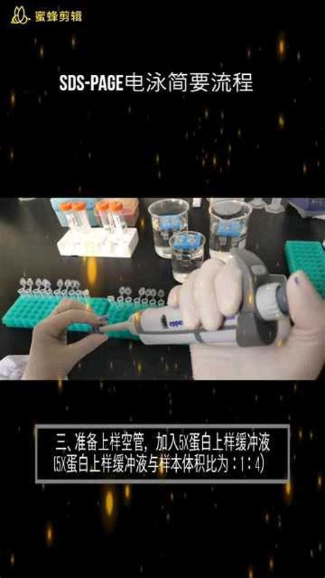 SDS PAGE电泳流程 高清1080P在线观看平台 腾讯视频