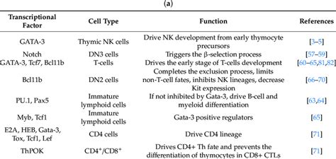 A Major Transcriptional Factors Involved In Thymocyte Development