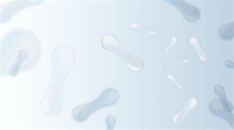 Probiotics 박테리아 벡터 일러스트입니다 생물학 과학 배경입니다 미세한 박테리아 근접 촬영입니다 젖산균에 대한 스톡 벡터