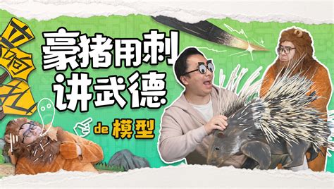 豪猪是鼠不是猪？战大猫的时候它会射箭吗？ 模型师老原儿 模型师老原儿 哔哩哔哩视频