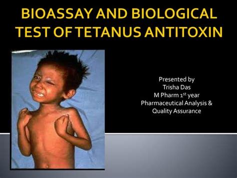 Tetanus Antitoxin Apa Pptx Infectious Diseases Diseases And