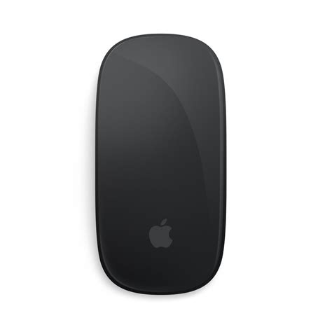 Magic Mouse Black Multitouch Surface Private Payment Network