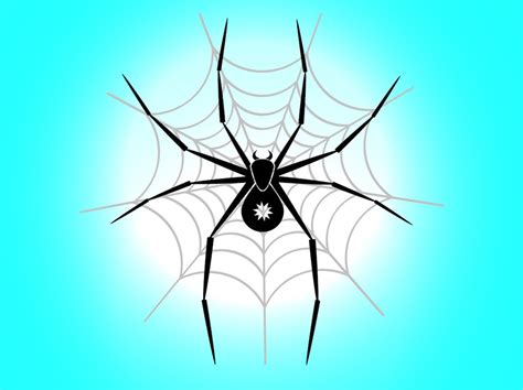spider in web vector art and graphics