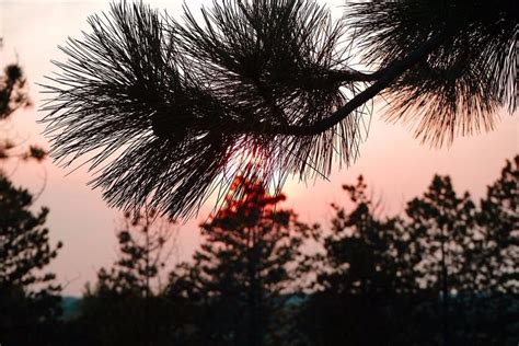 Contact Bailey Roxanne Photography