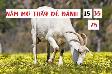Mơ Thấy Con Dê Đánh Con Gì Điềm Gì Giải Mã Giấc Mơ A Z