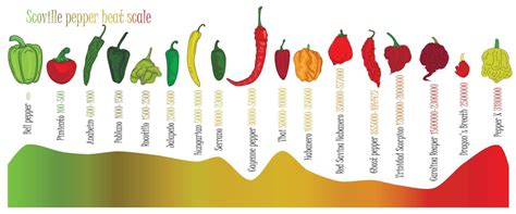 Scoville Pepper Heat Scale Pepper Illustration From Sweetest To Very