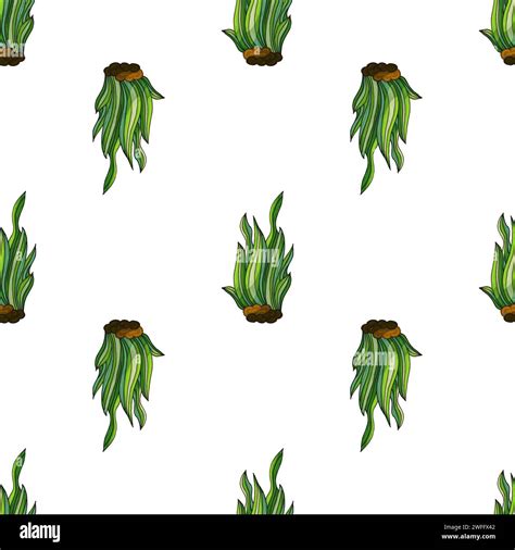 Creative Marine Seamless Pattern Algae Pattern In Hand Draw Style