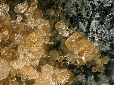 Observation And Measurement Of Powders Using Digital Microscopes