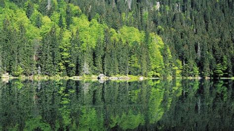 Mittelgebirge Bayerischer Wald Mittelgebirge Kultur Planet Wissen