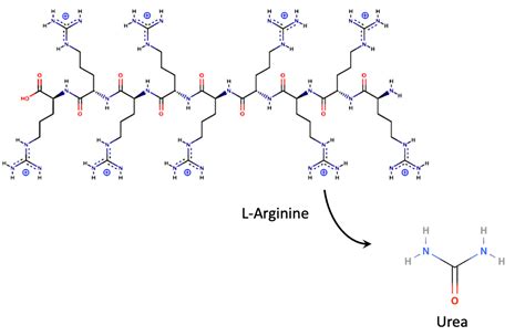 Sequestering Carbon With Fertilizer