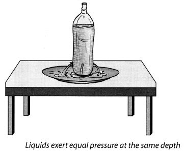 Class Chapter Force And Pressure Ncert Solution Edugrown School